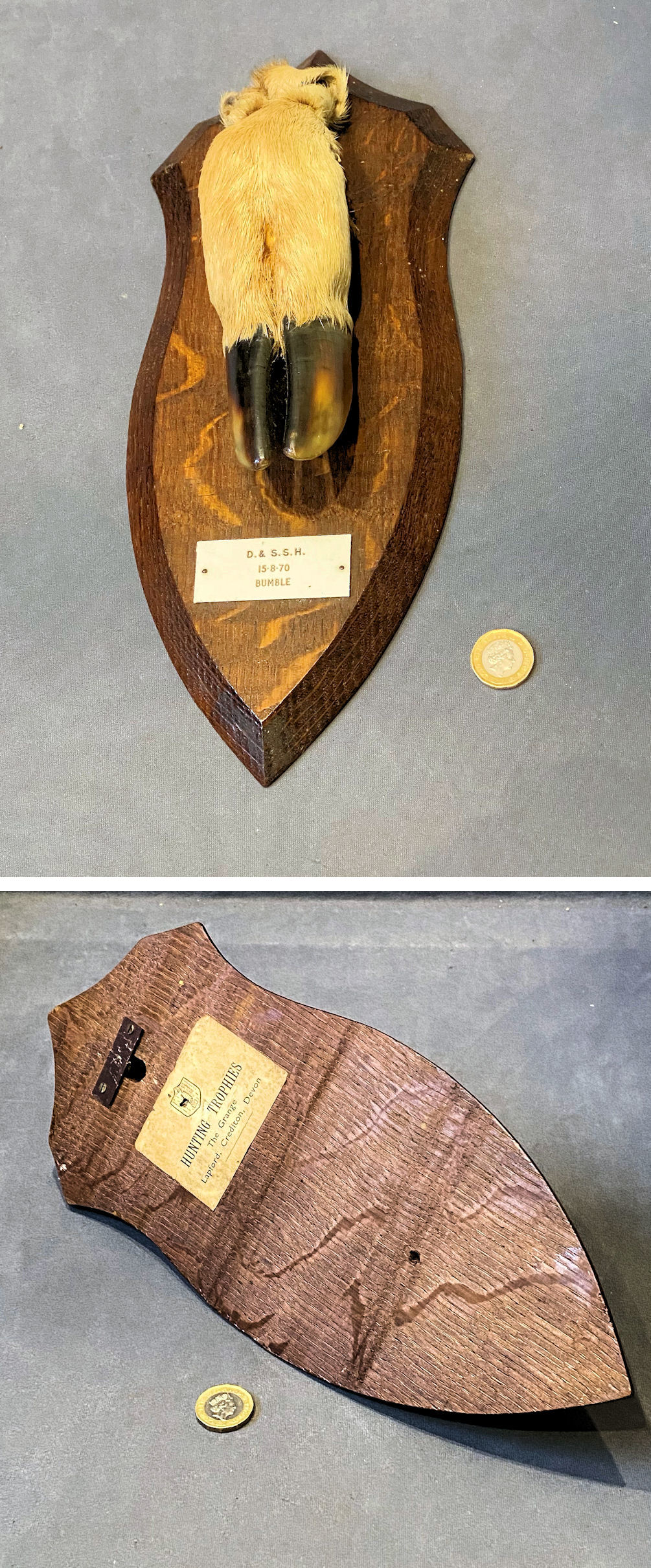 Taxidermy & Natural History